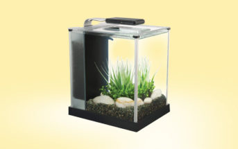 Fluval Spec III Aquarium Kit Review - Fish Care Guide